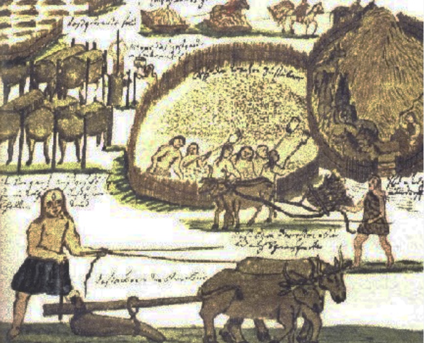 Los Repartimientos y las Encomiendas La ley y la fe La Higuera Mágica